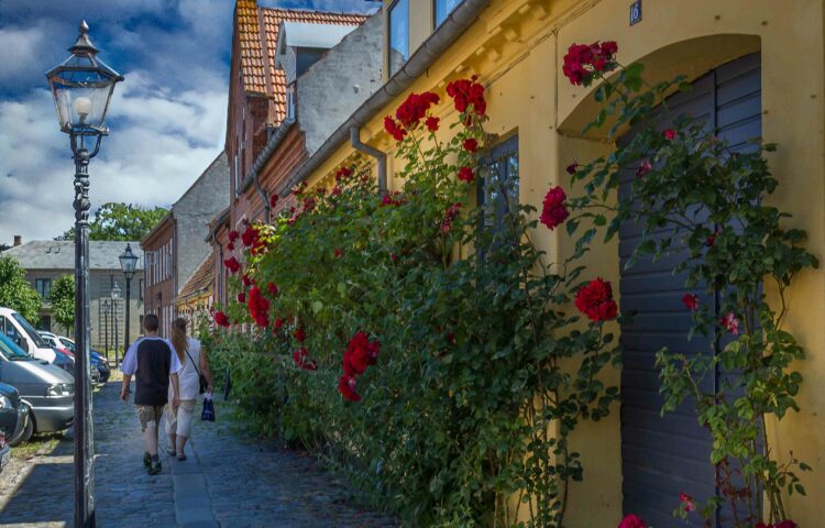 Præstø by - Mønguide.com